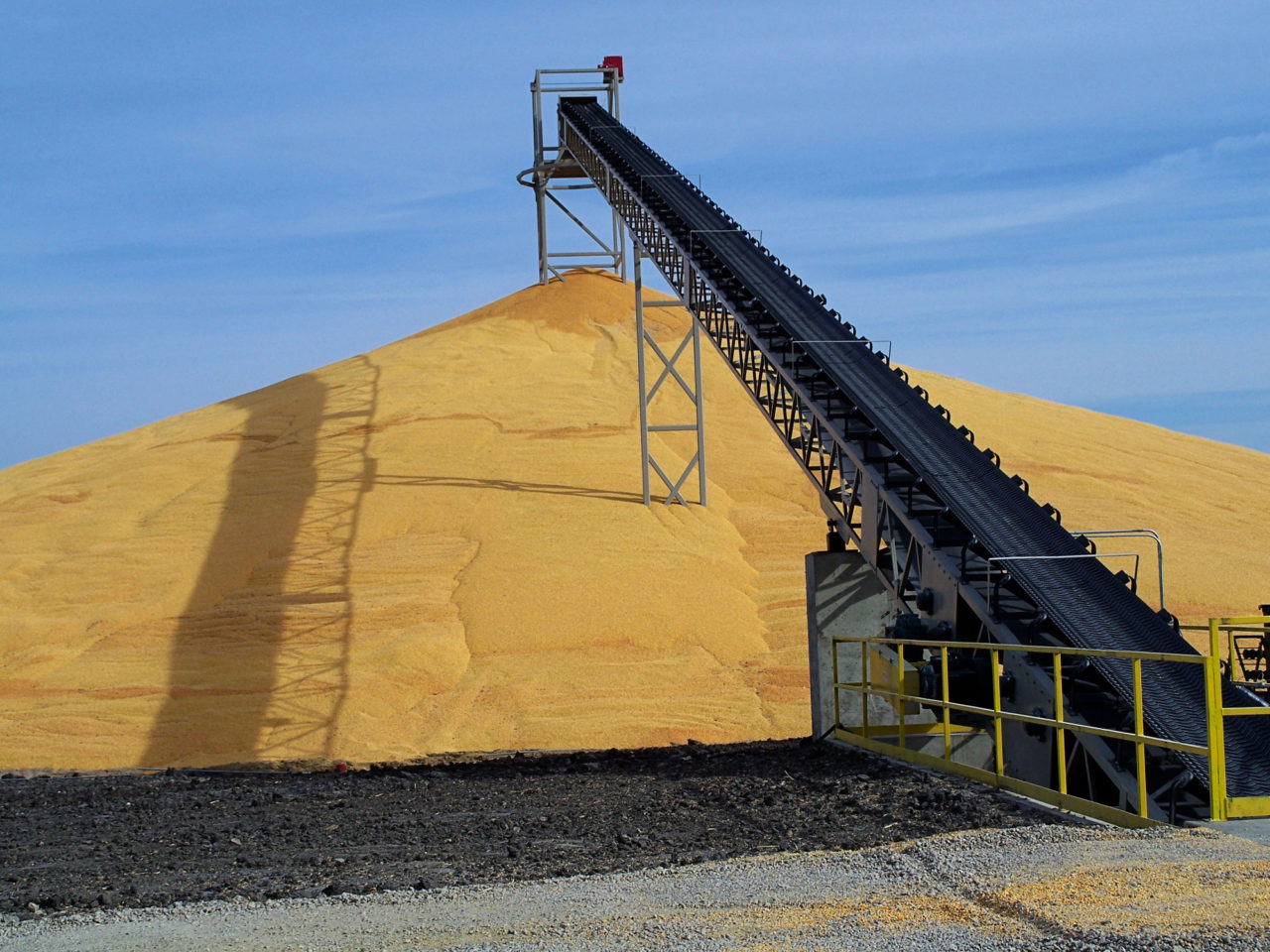 Custom Conveyors » Masaba, Inc.