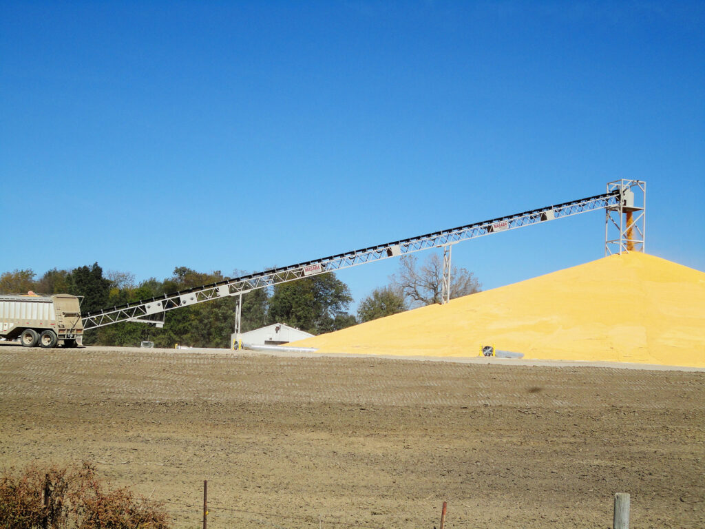 Our Product Lines » Masaba, Inc.